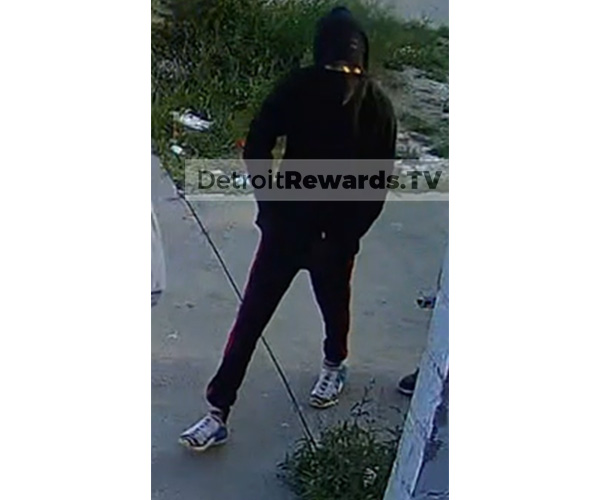 Carjacking in the area of E. Nevada and Conant | City of Detroit